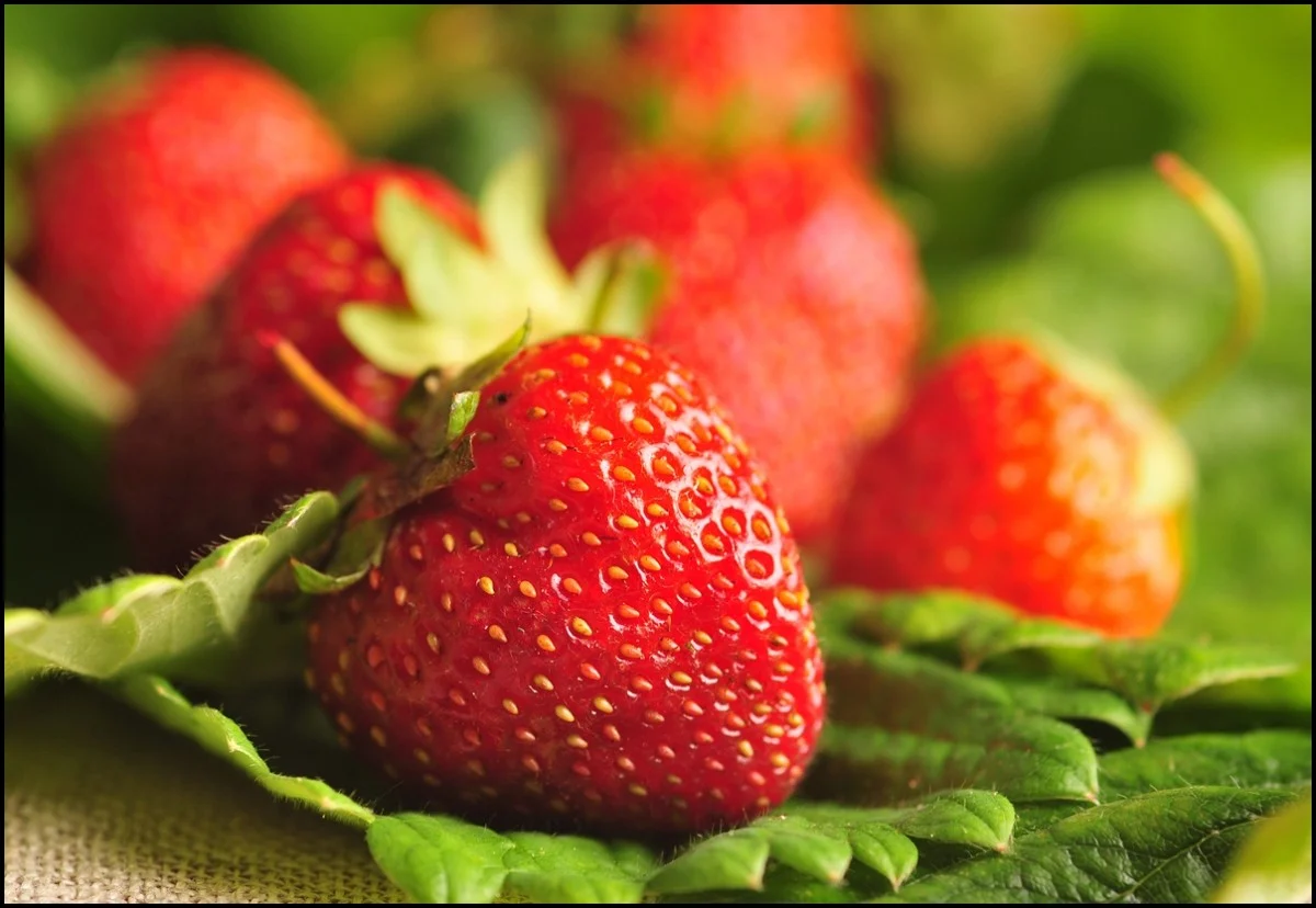 8 Healthy Reasons to Eat Strawberries | 1mhealthtips.com