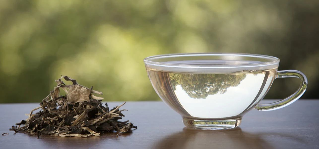 Health Benefits of White Tea | 1mhealthtips.com