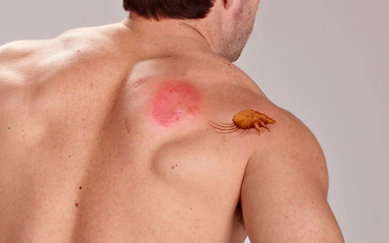 How Healthy are Sweet Potato Leaves (Talbos ng Kamote)? | 1mhealthtips.com