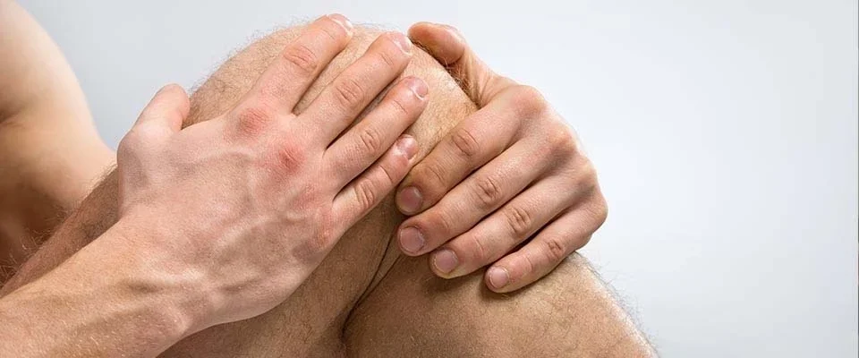 Foods to Eat to Increase Bone Cartilage — Healthdigezt.com