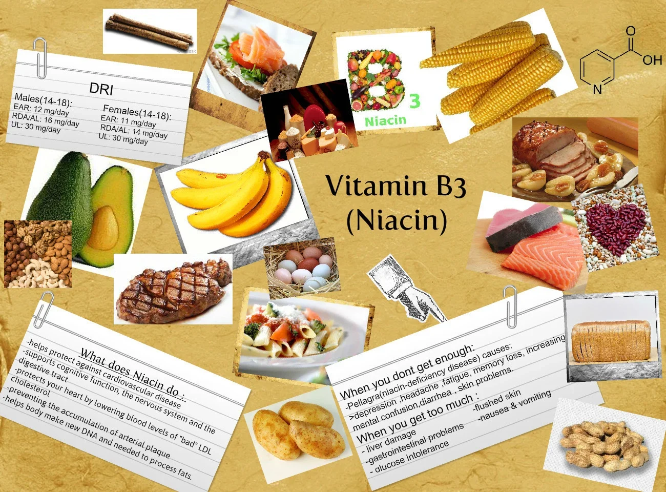 Nice Sources of Niacin (Vitamin B3) — Healthdigezt.com