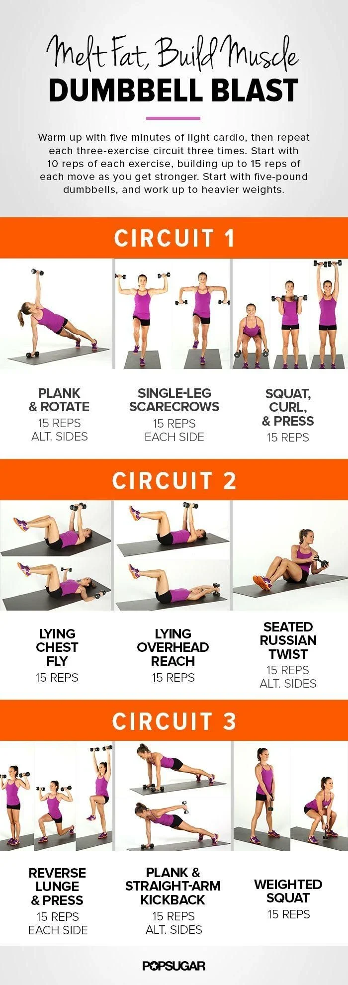Melt Fat and Build Muscle: Printable Workout With Weights ...