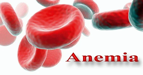 15 Foods To Fight Anemia — Healthdigezt.com