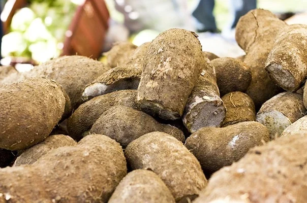 Pinipig (Pounded Rice Grains) Health Benefits and Sample Recipe ...