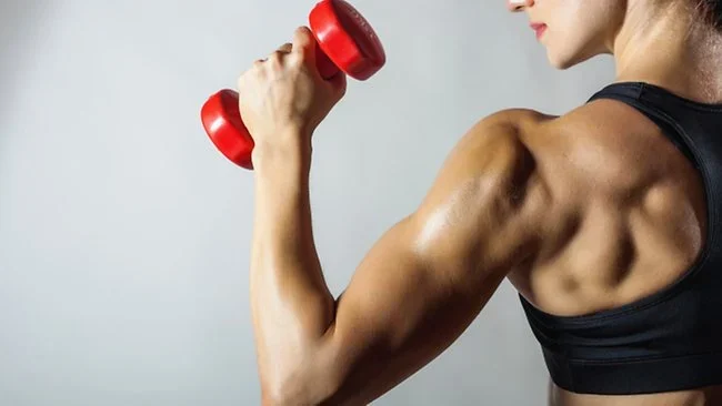 Exercises that Define the Arms — Healthdigezt.com