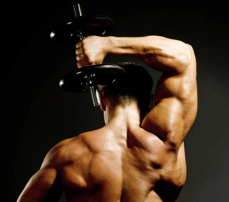 These Exercises Will Pop Your Shoulders — Healthdigezt.com