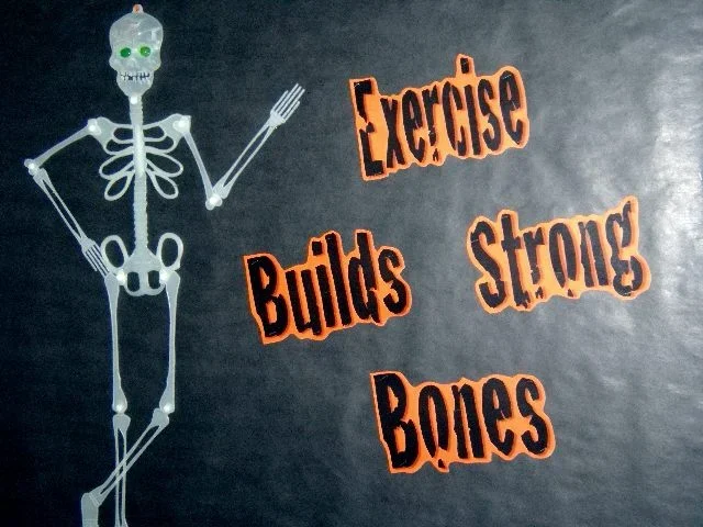 Exercising Helps Build Strong Bones — Healthdigezt.com