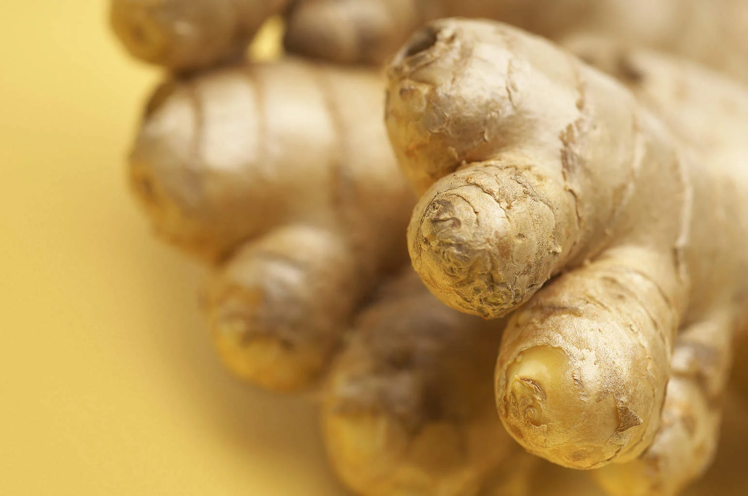 The Side Effects of Ginger and Contraindications — Healthy Builderz