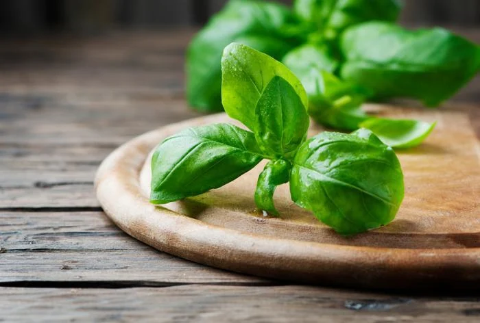 Health Benefits of Basil — Healthy Builderz