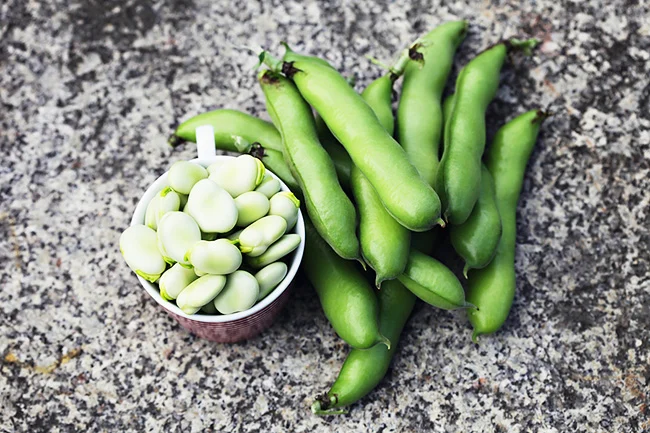 Health Benefits of Jack Beans — Healthy Builderz
