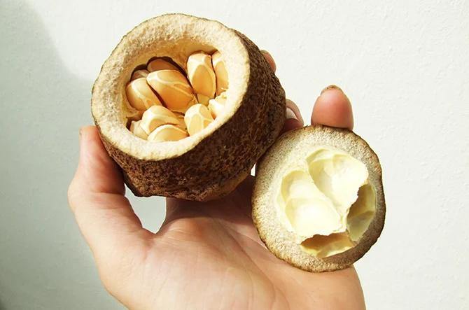 Benefits of Lollo Rosso You Should Know About — Healthy Builderz