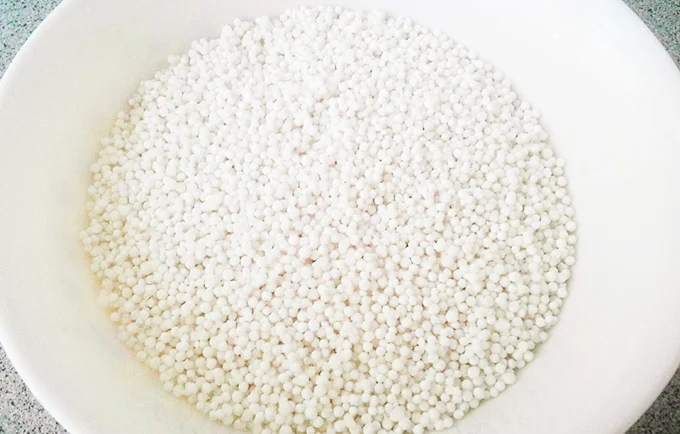 Tapioca Sago Health Benefits with Recipe — Healthy Builderz