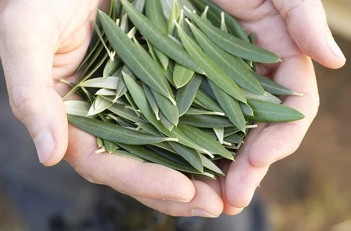 What Happens to Your Body If You Drink Only 1 Glass of Water a Day ...