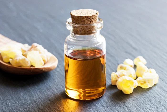 What Happens to Your Body If Your Pancreas is Not Functioning Well ...